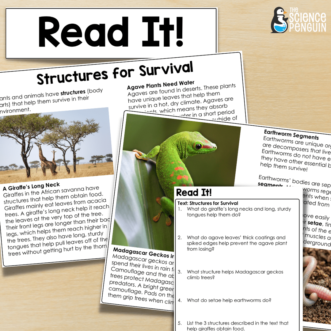 5 BEST Ideas To Teach Animal Adaptations And Plant Adaptations The 5 BEST Ideas To Teach Animal Adaptations And Plant Adaptations The