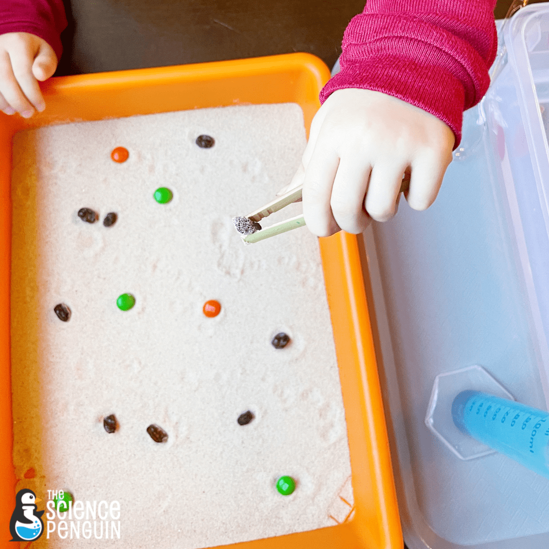 5 Ideas to Teach Animal and Plant Adaptations — The Science Penguin