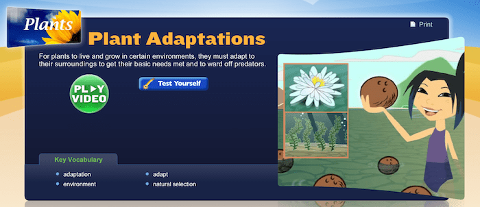 Plant Adaptations StudyJams — The Science Penguin