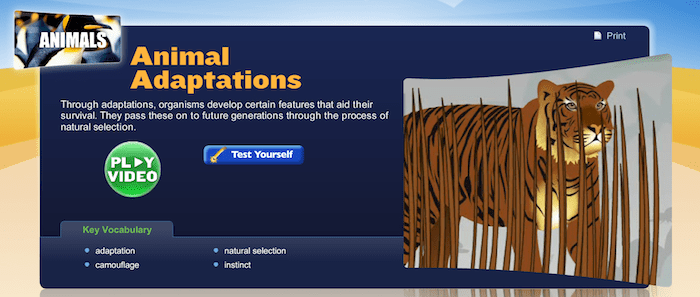 Animal Adaptations StudyJams — The Science Penguin