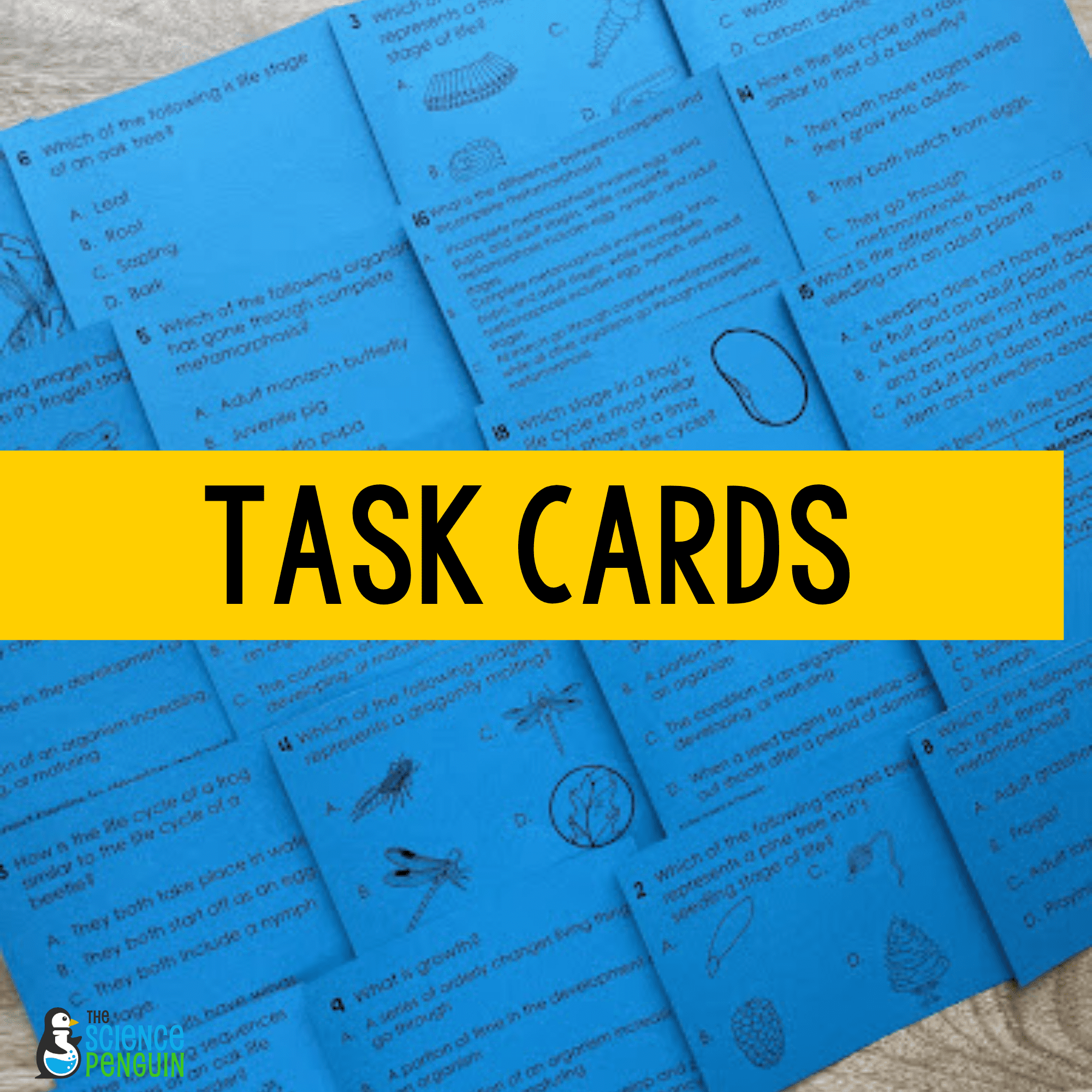 Life Cycles Science Notebook Photos