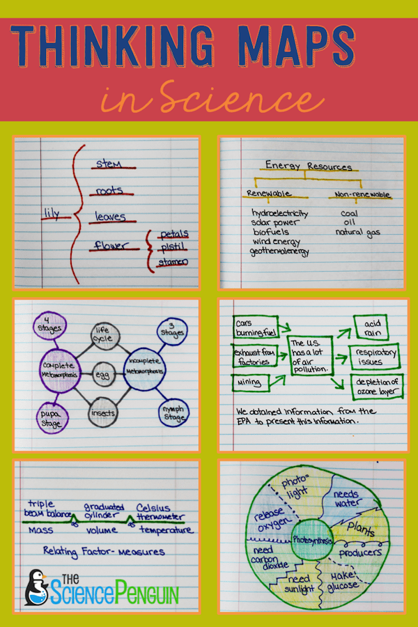 Science Thinking Maps Science Thinking Maps