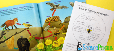 Picture Book Science Lesson: Bees and Ecosystems — The Science Penguin