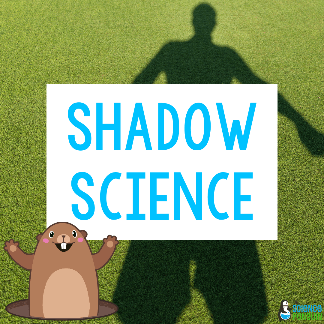 Shadow Science For Kindergarten And First Grade Groundhog Day The Shadow Science For Kindergarten And First Grade Groundhog Day The