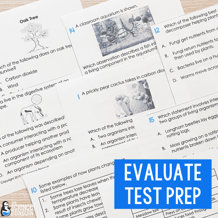 5 Ideas to Teach Students About Ecosystem Interactions — The Science ...