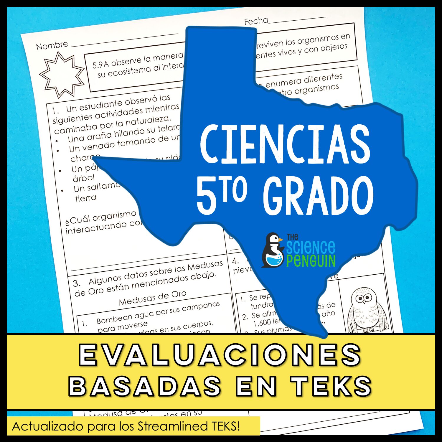 The Science Penguin in Spanish — The Science Penguin