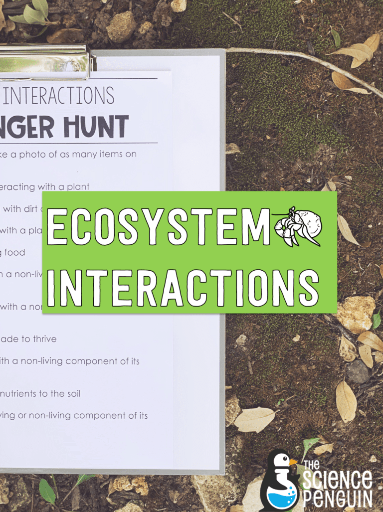 5 Ideas to Teach Students About Ecosystem Interactions — The Science ...