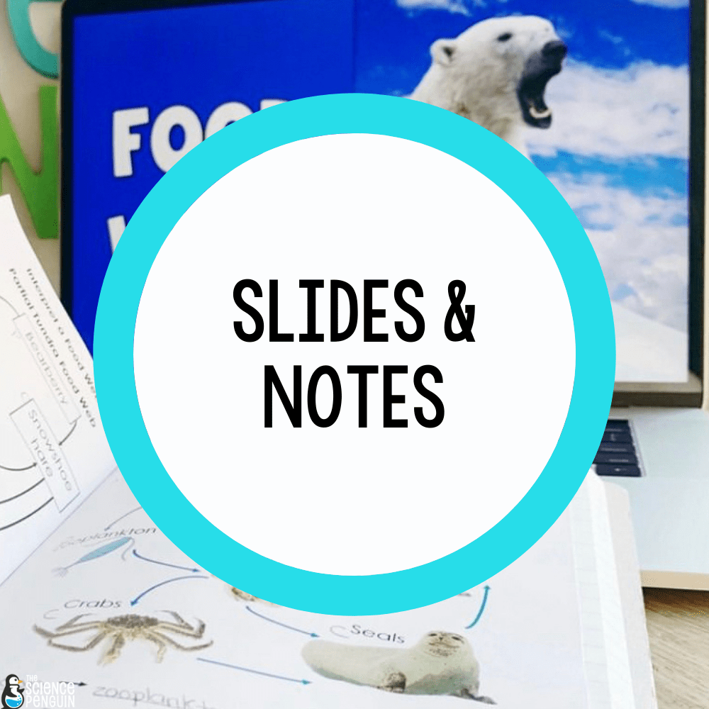 Slides & Notes — The Science Penguin