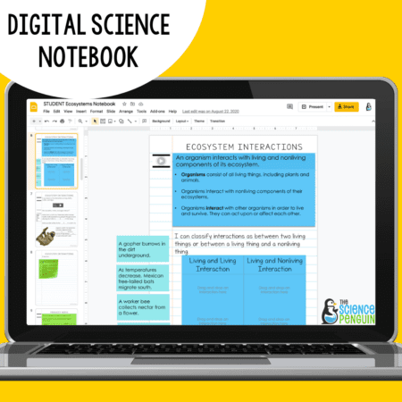 7 Ideas to Teach Ecosystems and Food Webs