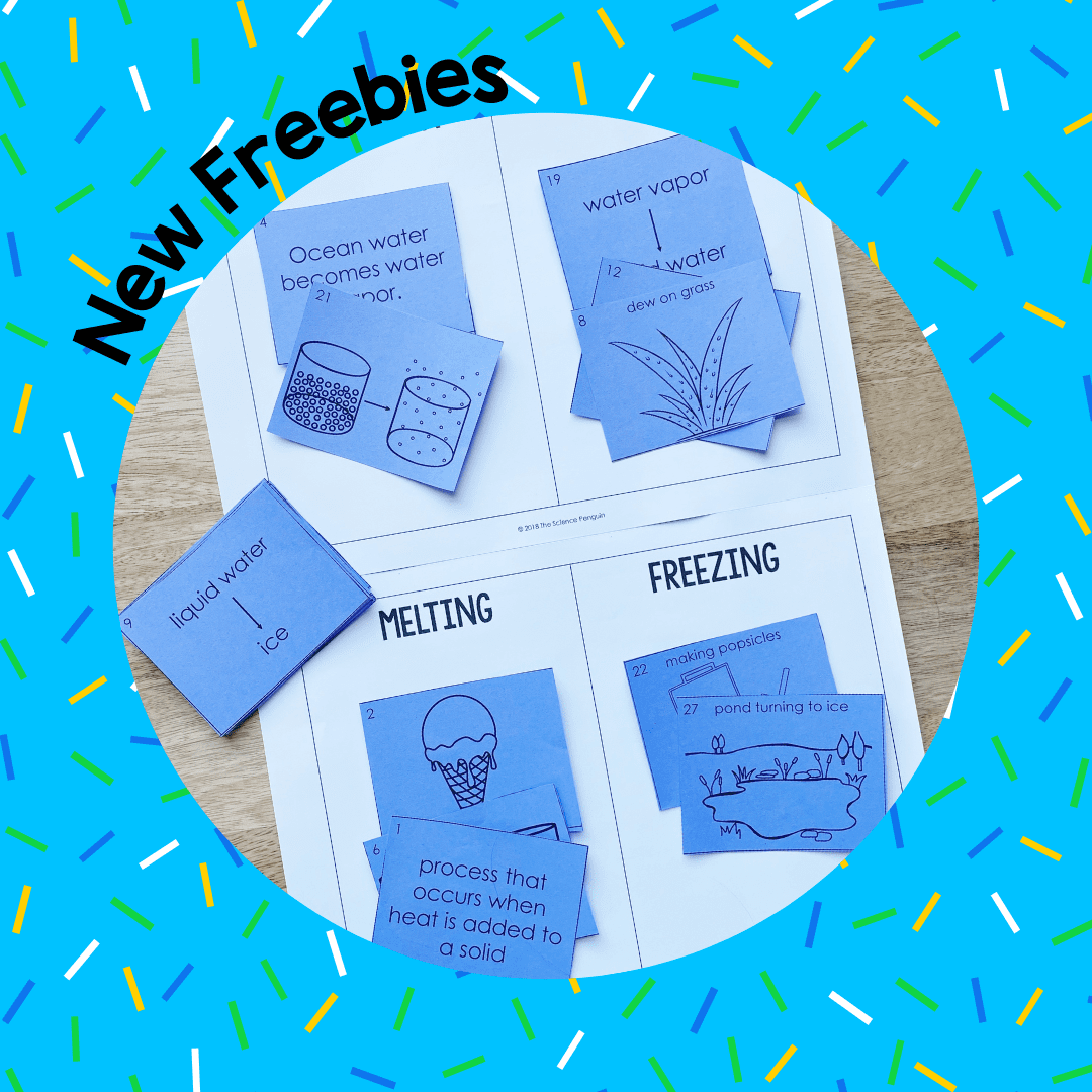 Phase Changes Sorting Relay — The Science Penguin
