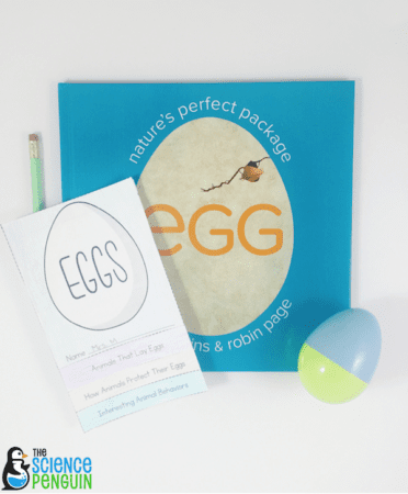 Spring Science: Eggs, Clouds, and the Great Outdoors — The Science Penguin