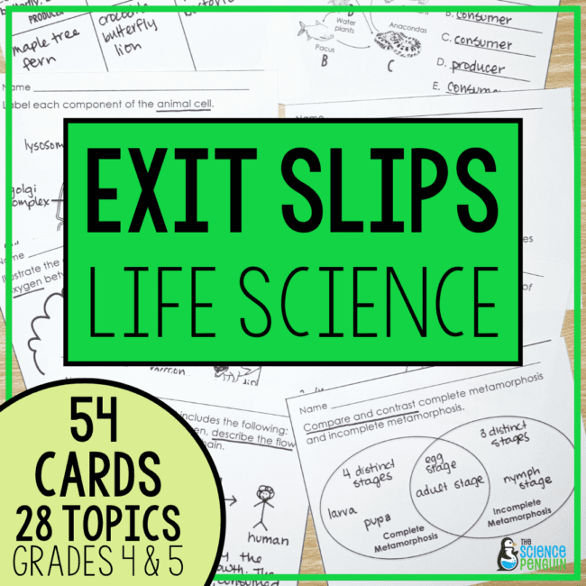 How to (Quickly) Use Exit Slips