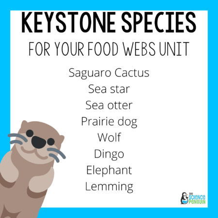 PHENOMENAL Food Webs: Teaching the 5th grade NGSS food webs standard ...
