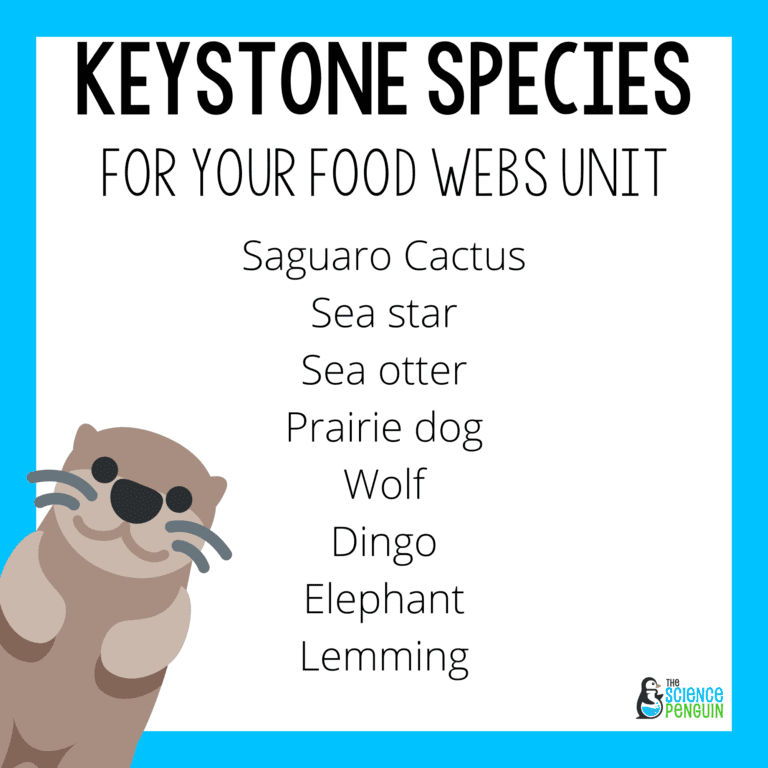 PHENOMENAL Food Webs: Teaching the 5th grade NGSS food webs standard ...