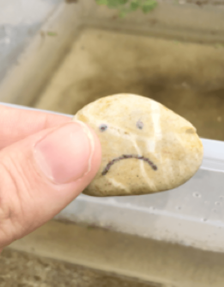 Beyond Sink or Float: 10 Ideas for Teaching Relative Density — The ...