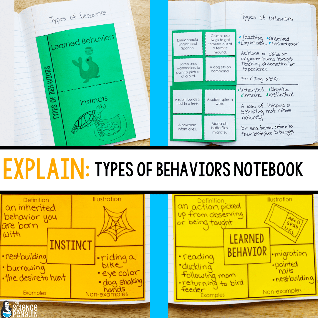 Learned Behaviors vs. Instincts: Learning about Animal Behavior — The ... Learned Behaviors vs. Instincts: Learning about Animal Behavior — The ...