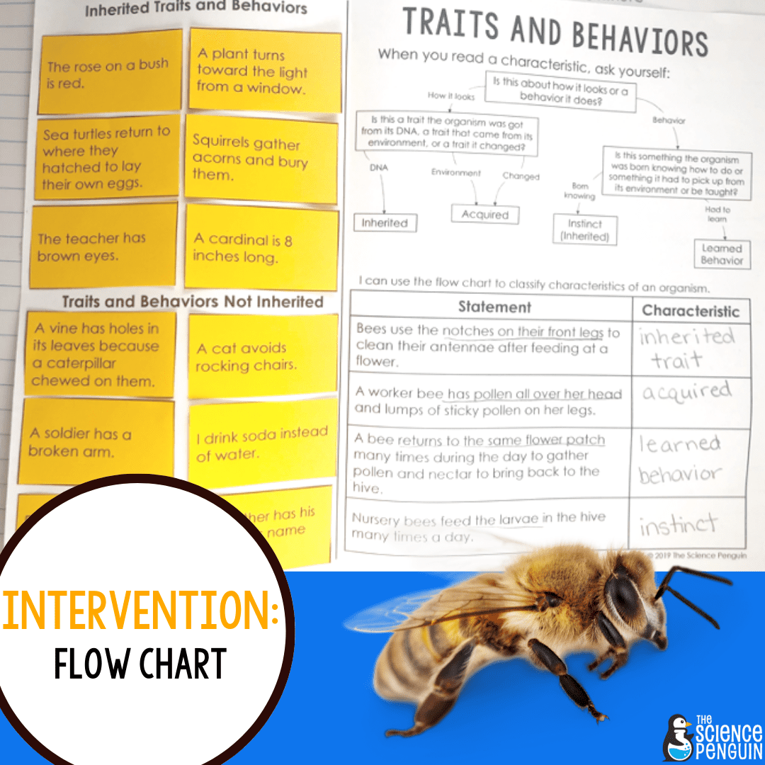 Learned Behaviors vs. Instincts: Learning about Animal Behavior — The ... Learned Behaviors vs. Instincts: Learning about Animal Behavior — The ...