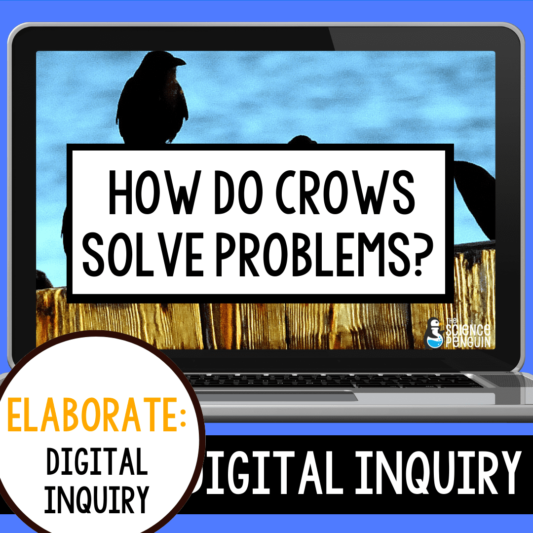 Learned Behaviors vs. Instincts: Learning about Animal Behavior — The ... Learned Behaviors vs. Instincts: Learning about Animal Behavior — The ...