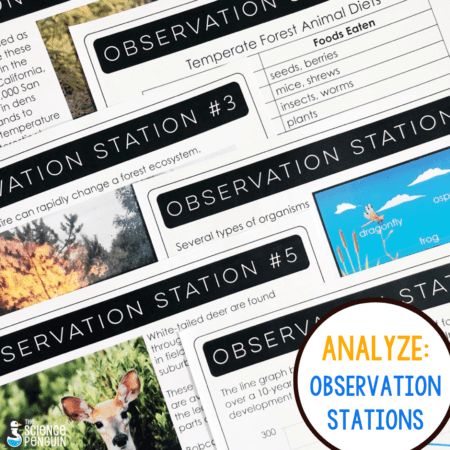 5 Ideas To Teach Students About Changes in Ecosystems — The Science Penguin