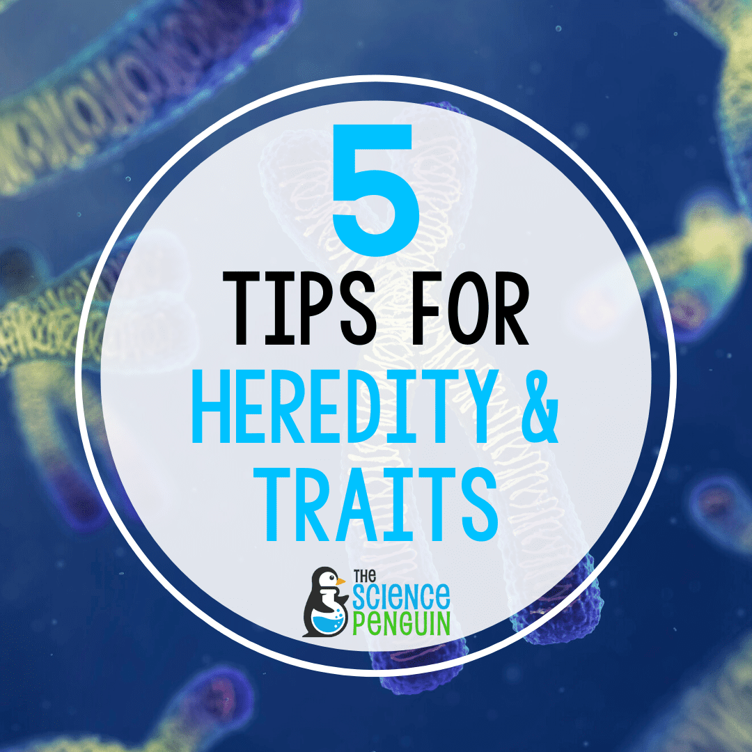 5 Ideas for Inherited Traits and Acquired Traits for 3rd, 4th, and 5th ...
