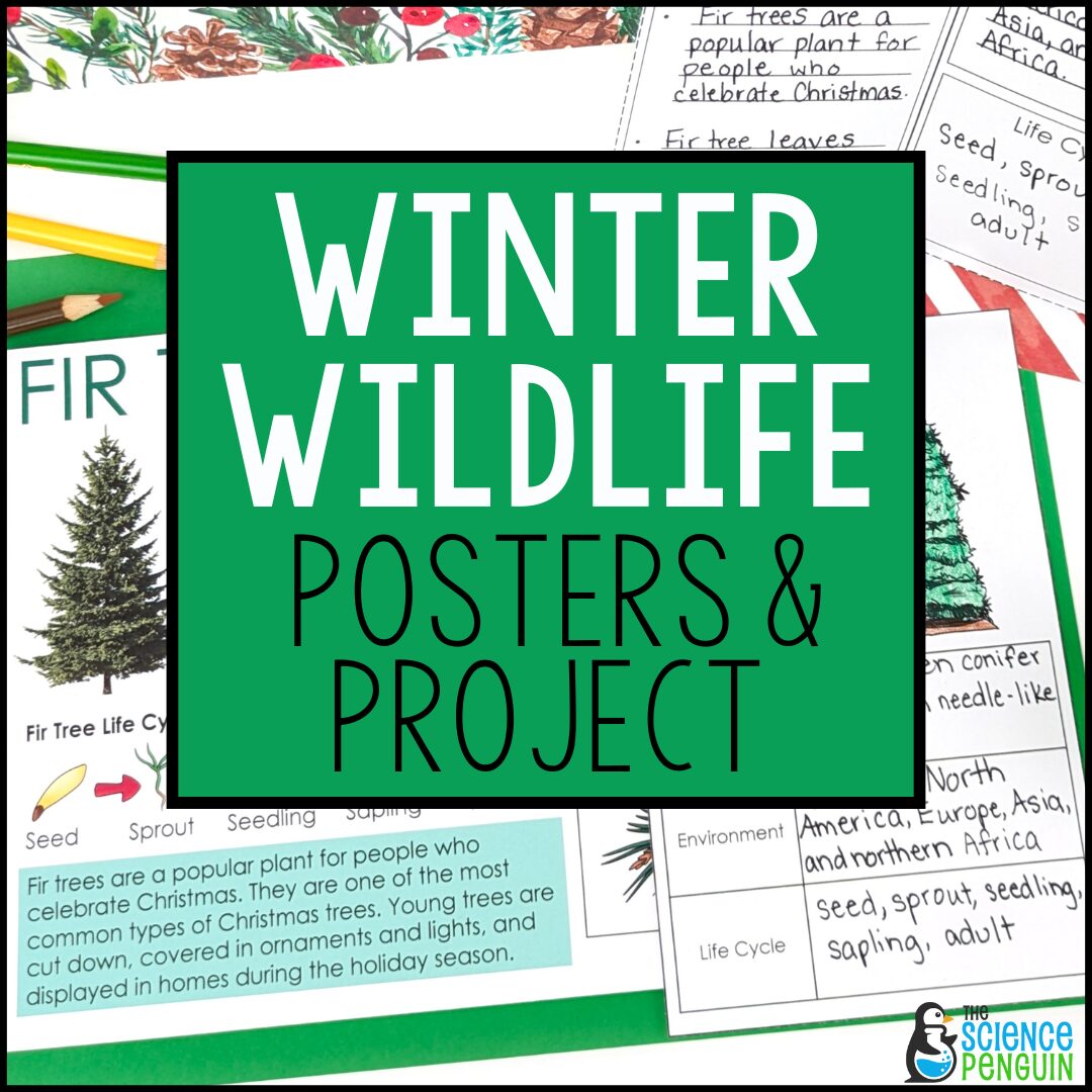 Christmas Science Activities — The Science Penguin